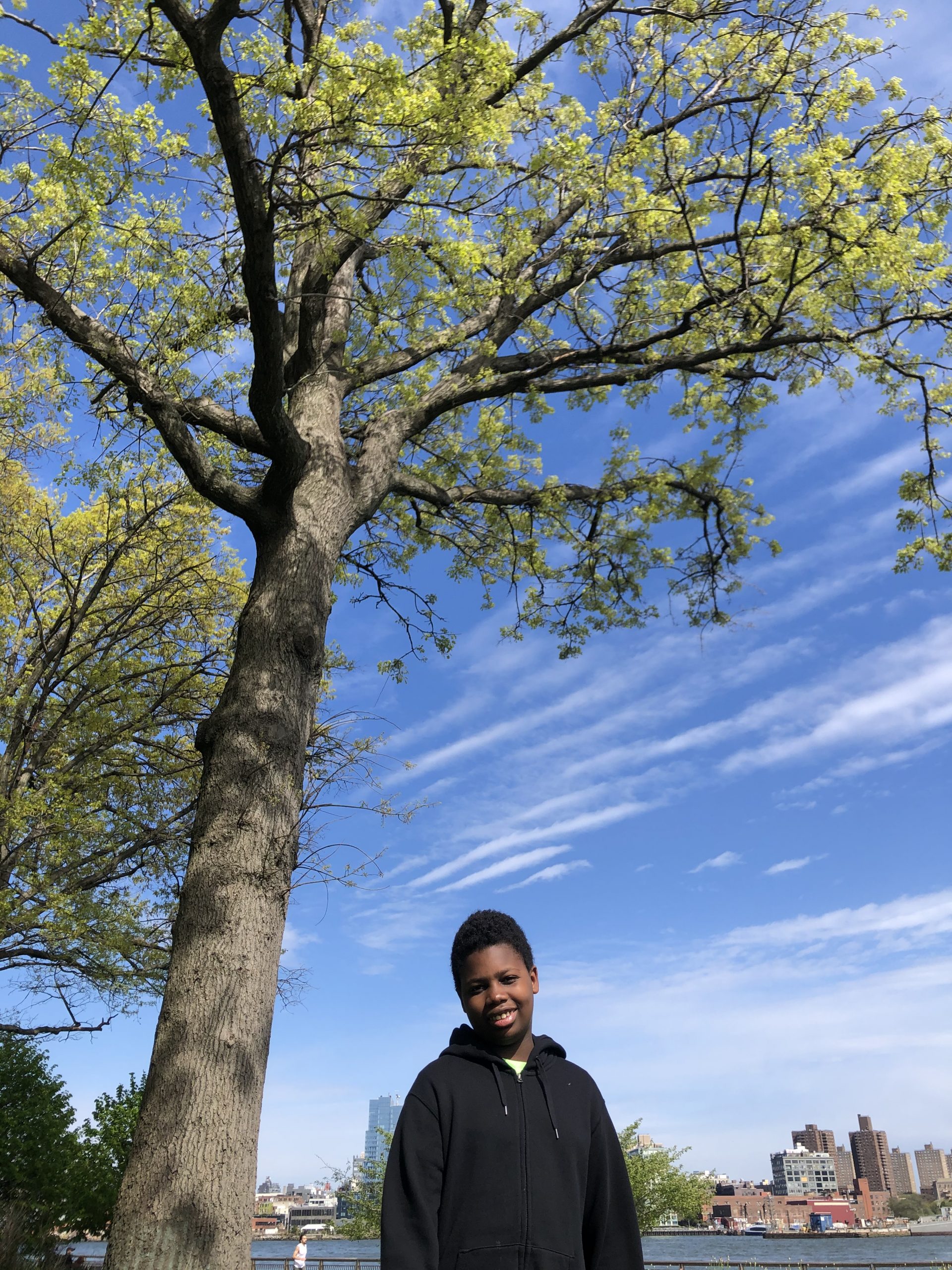 East River Park Oak Tree – East River Park ACTION